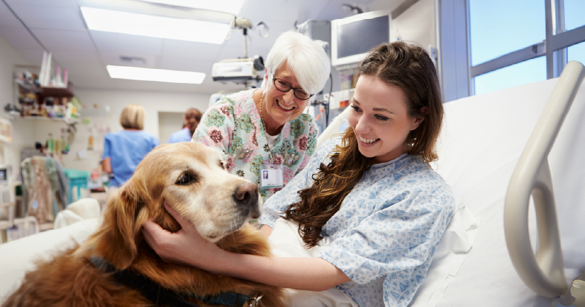 Awards of Distinction 2024 | HCA Healthcare Magazine